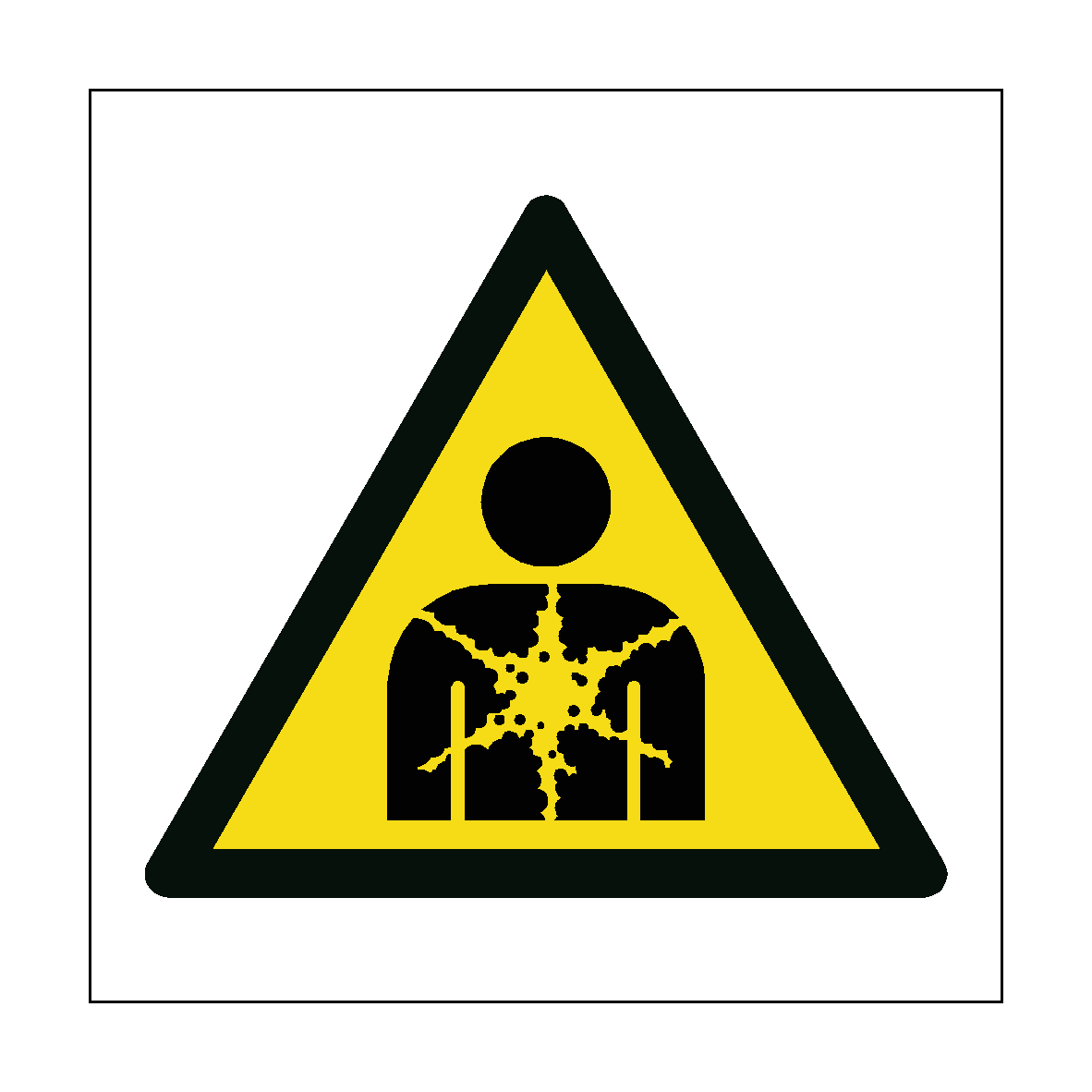 Health Hazard Substance Hazard Symbol Sign | Safety-Label.co.uk
